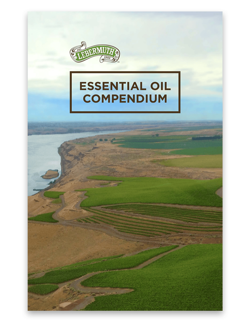 Lebermuth l Lavender Essential Oils